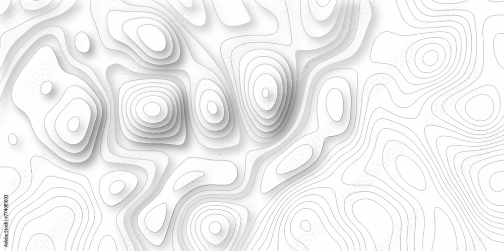 Vector geography landscape Topo contour map on white background ...