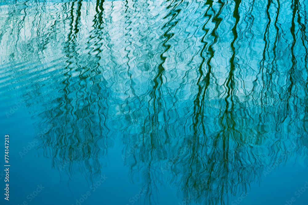 mesmerizing scene lake or pond with wavy reflections tree branches in rippling water, while ...