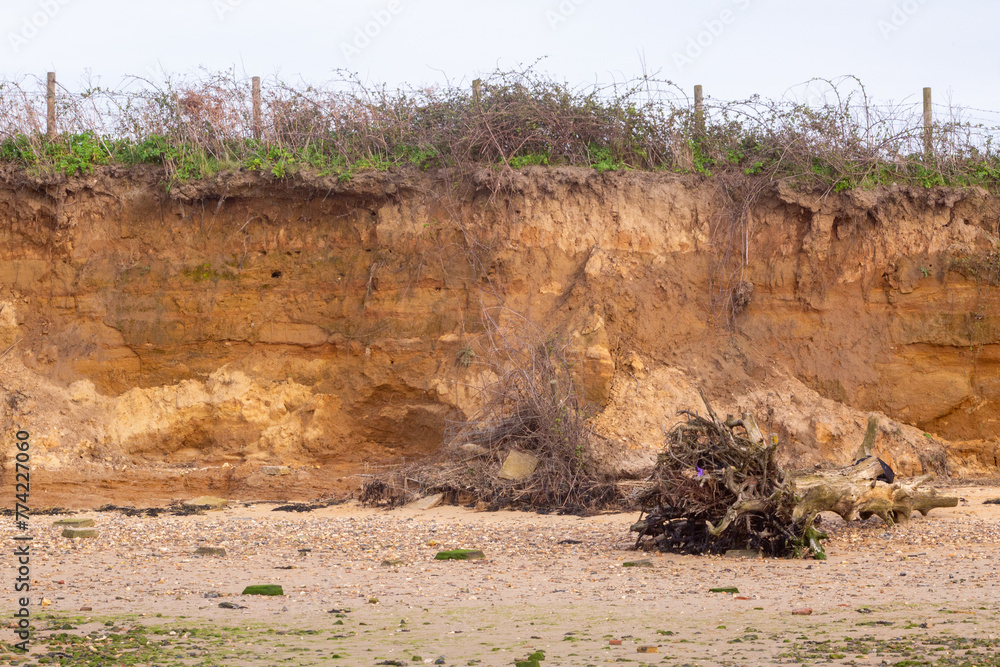 Coastal erosion at Wrabness beach, Essex along the river Stour. Image ...
