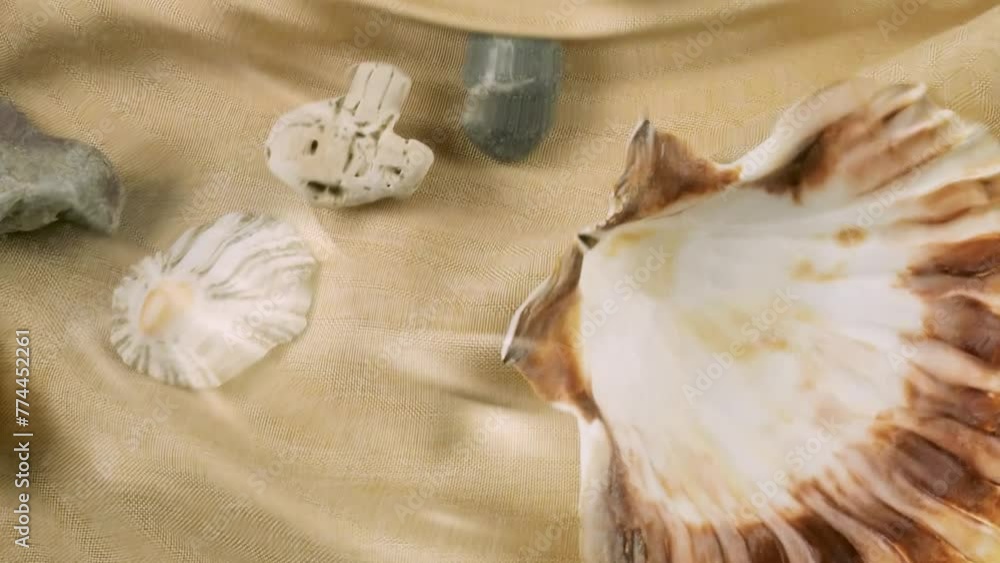 Imitation of the seabed. Oyster and scallop shells, sea pebbles on sand ...