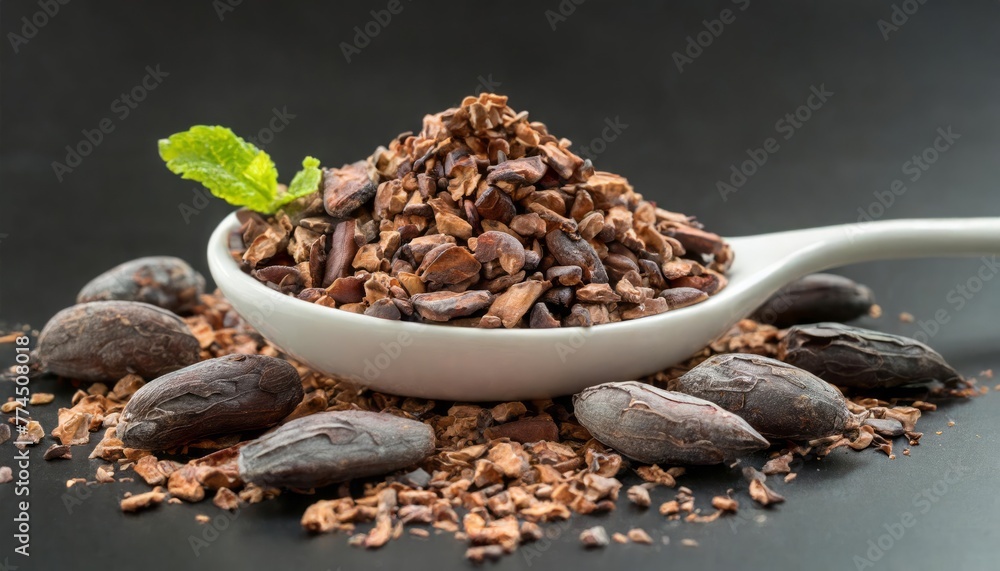 cocoa beans for chocolate making, natural chocolate made with Amazonian ...