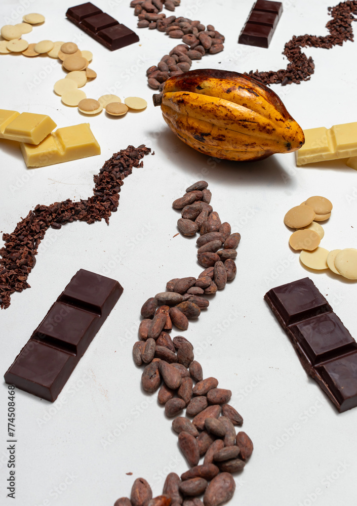Chocolate Production: From cacao pods, beans undergo fermentation ...