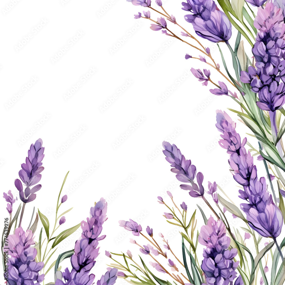 Lavender corner border. Watercolor botanical banner for the design of ...