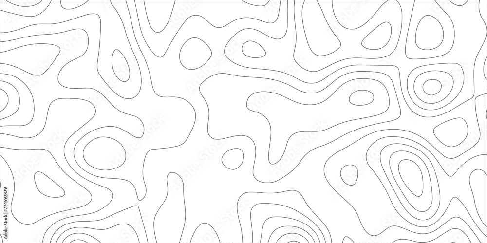 Abstract Lines Background Contour Maps Vector Illustration The Stylized Height Of The