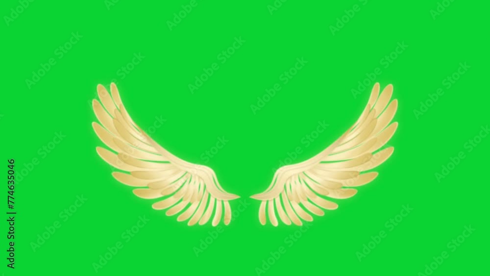 Real Angel wings icons, 3D Animation flying wings Video Green Screen ...
