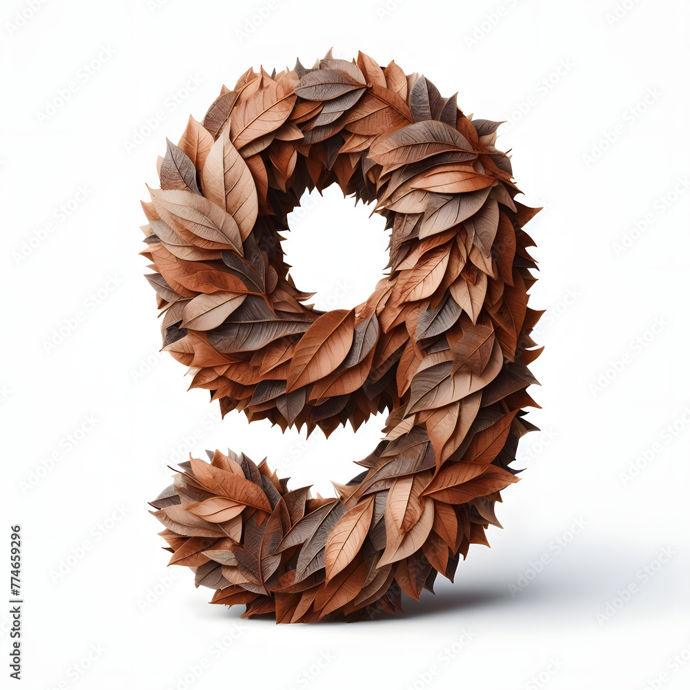Number "9" is made with brown leaves, brown leaves Number, isolated on ...