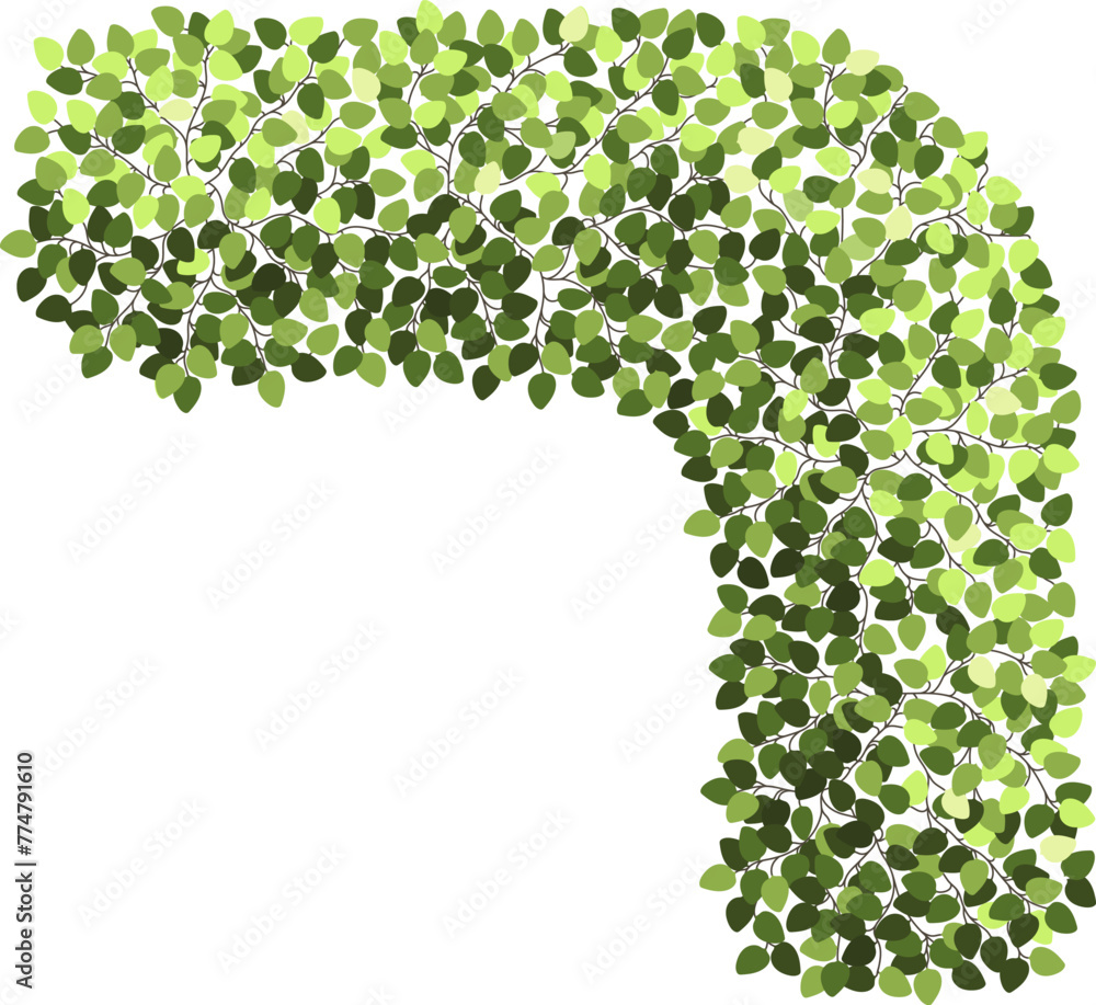 Bush for architectural floor plans. Entourage design. Top view tree for ...