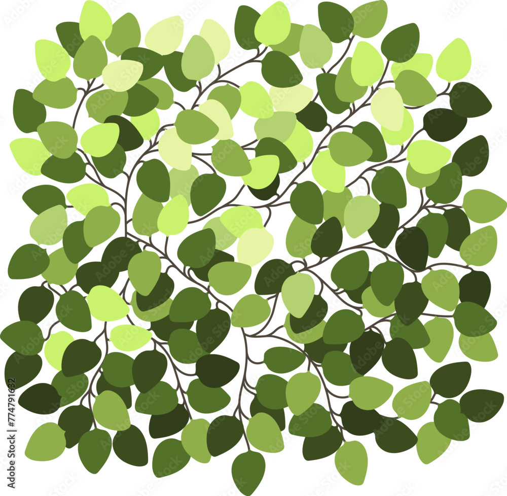 Bush for architectural floor plans. Entourage design. Top view tree for ...