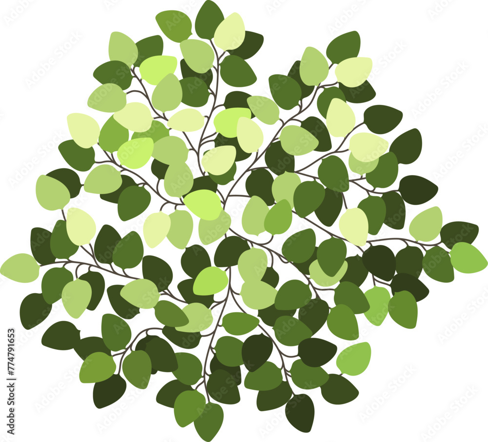 Bush for architectural floor plans. Entourage design. Top view tree for ...