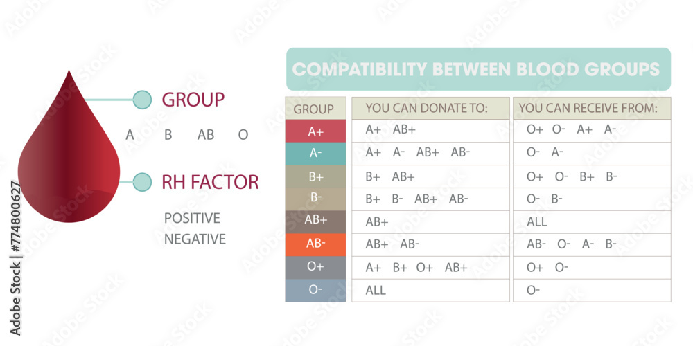 Rh and blood group and compatibility between them Stock Vector | Adobe ...
