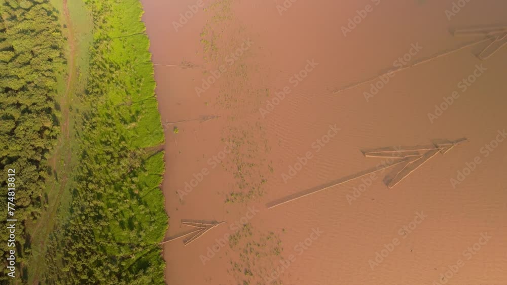 Arrow head fish nets in muddy waters on the Tonle Sap shore line, Asias ...