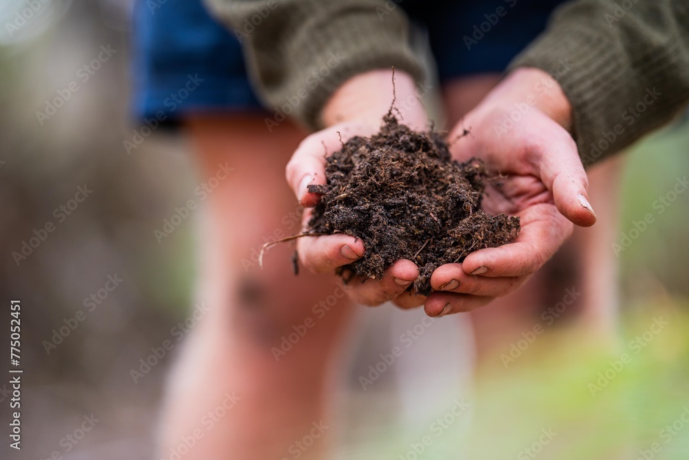 holding soil in hand. study soil health. soil fungi storing carbon ...
