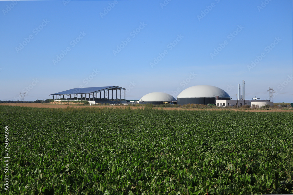 Poster The purpose of anaerobic digestion is to transform organic ...