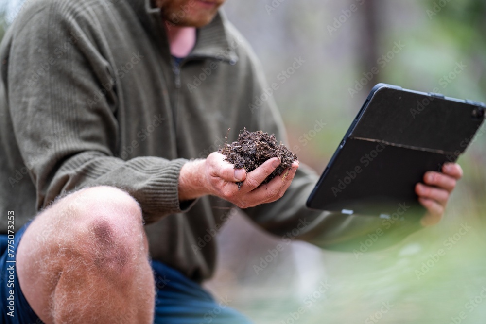 holding soil in hand. study soil health. soil fungi storing carbon ...