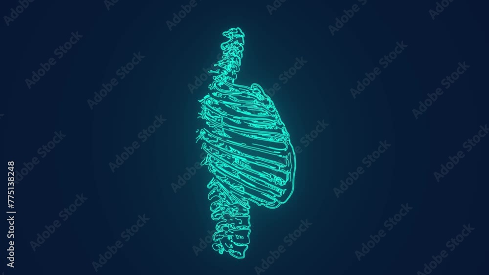 human body rib cage with spinal cord anatomy animation Stock Video ...