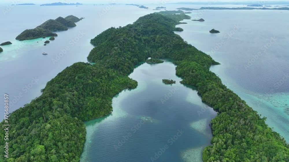 Rock islands, surrounded by coral reef, rise from Raja Ampat's tropical ...
