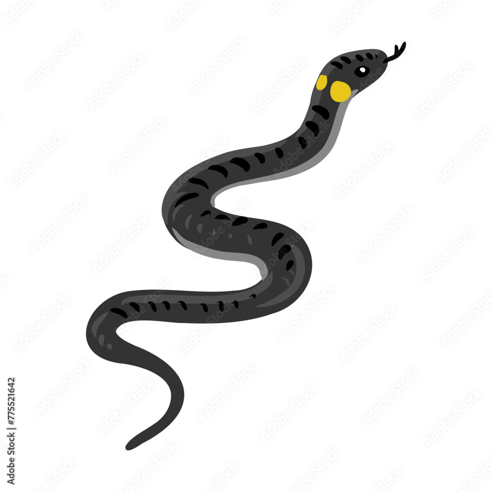 Poster vector drawing ringed snake isolated at white background, hand ...