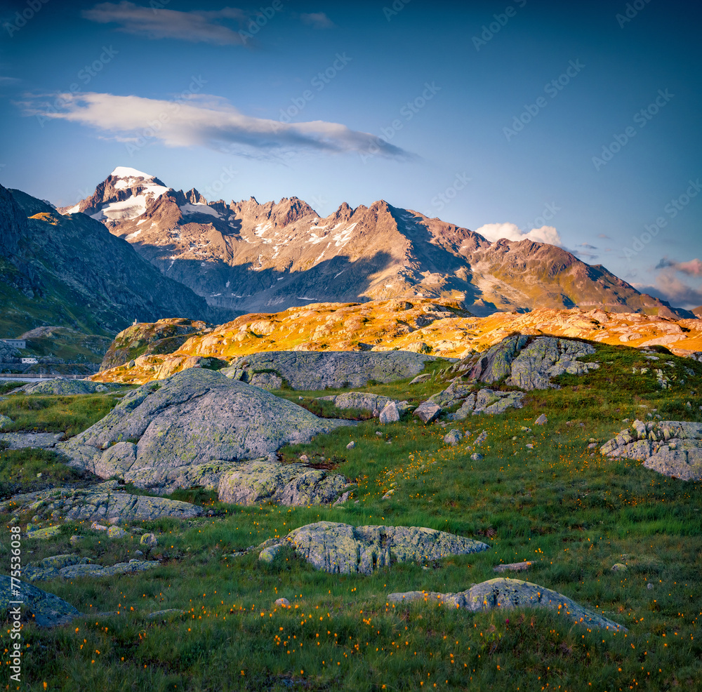 Wonderful summer view of green meadow on the shore of the lake of ...