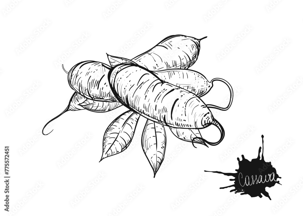 Vektorová grafika „Hand drawn sketch black and white illustration of ...