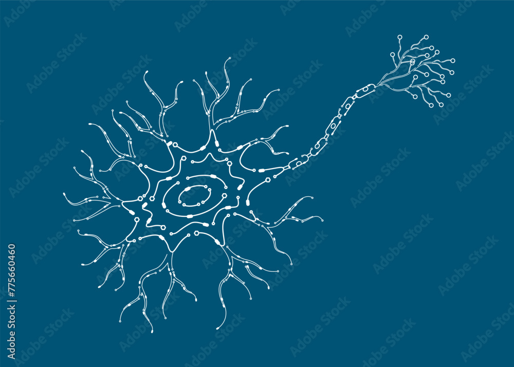 Human nerve cell organ electronic circuit board outline model. Isolated ...