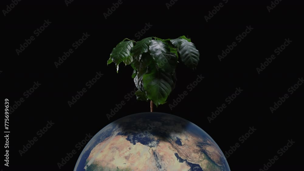 World Earth Day And Stop Global Warming Concept. Tree Canopy Giving ...