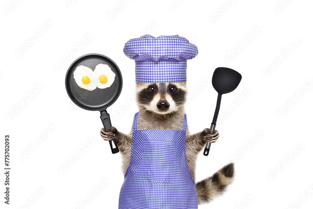 Raccoon with a chef's suit standing with scrambled eggs in a frying pan ...