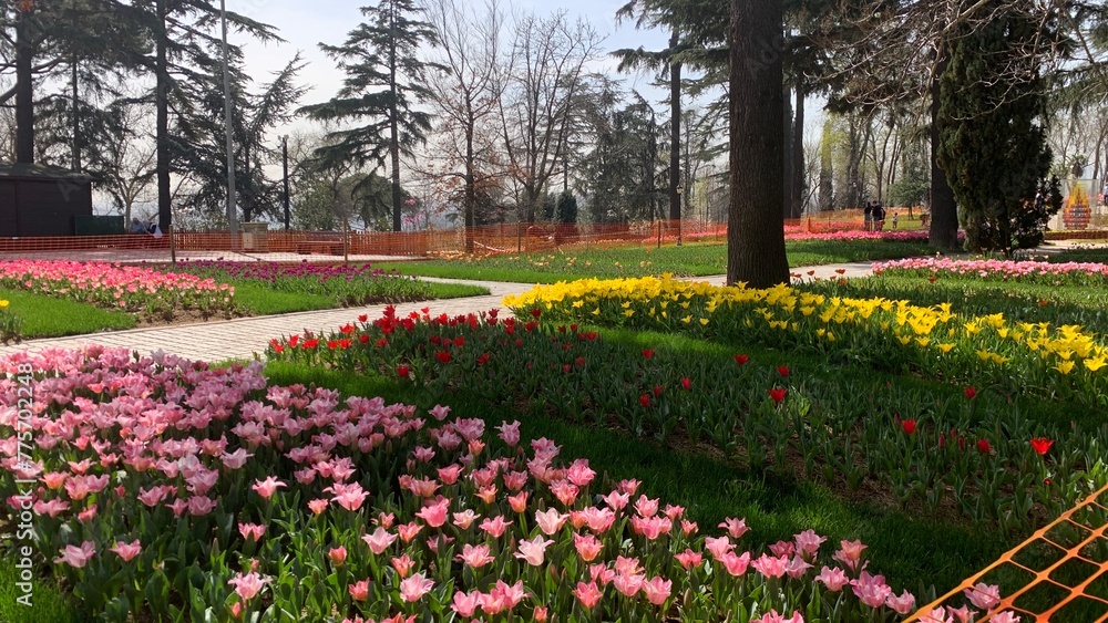 Beautiful spring garden, famous turkish park Emirgan Korusu in Istanbul ...