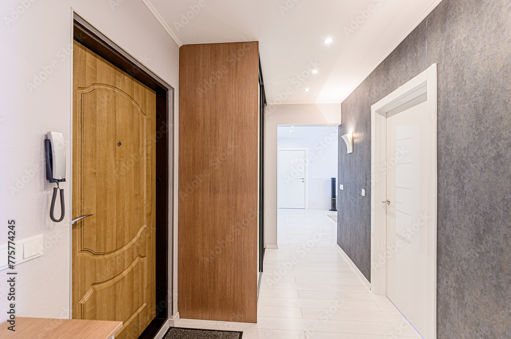 standard room interior apartment. room doors, renovation corridor lobby ...