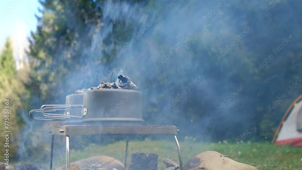 Cooking hot food over campfire in spring forest. Bonfire in woodland ...