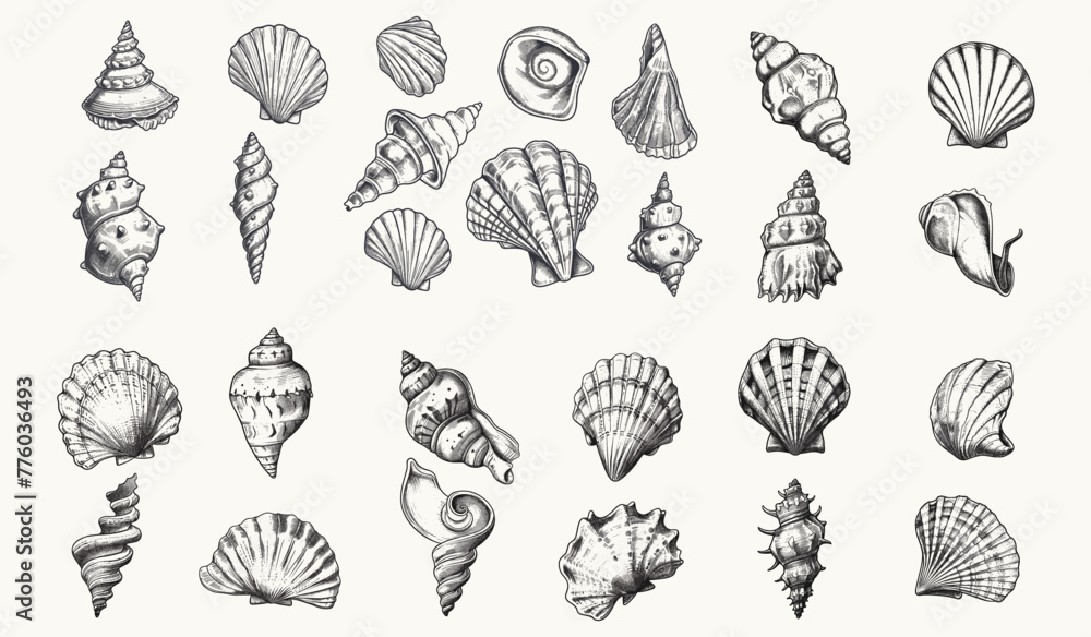 Vintage Seashell Engraving Vector Set: Retro Halftone Sketches for ...