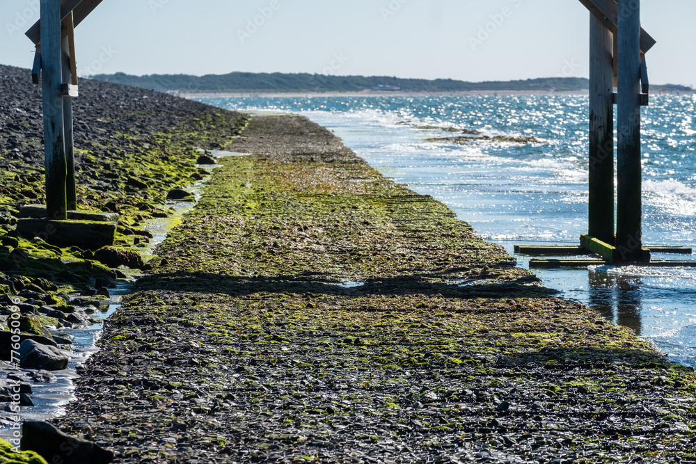 The image captures a narrow, algae-covered coastal pathway leading into ...