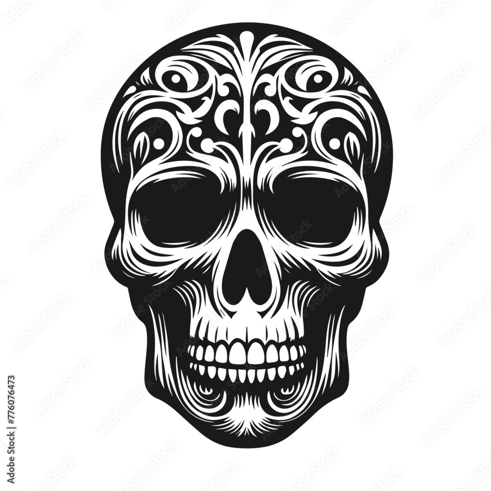 Realistic human skulls front and side views set isolated on white ...