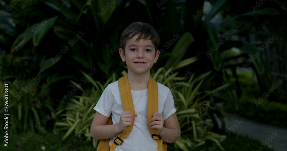 Portrait handsome child of a happy cute school boy, a smiling school ...