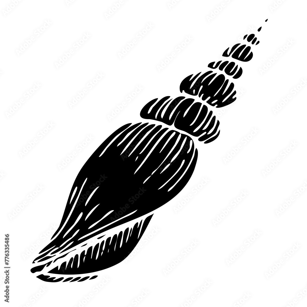 Vetor de Vector seashell black silhouette illustration. Hand drawn ...