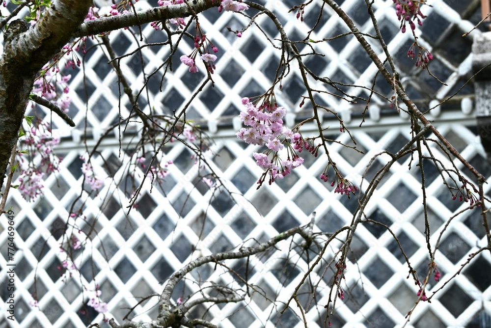 Japan Travel. Traditional Japanese wall pattern, called Namako Wall in ...