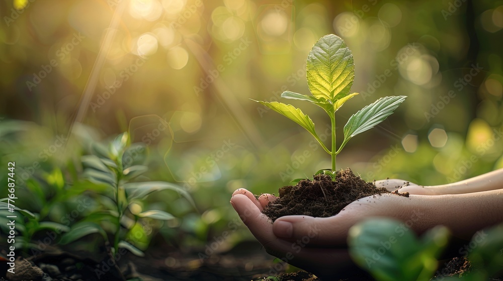 earth day or world environment day concept, hand holding small tree for ...