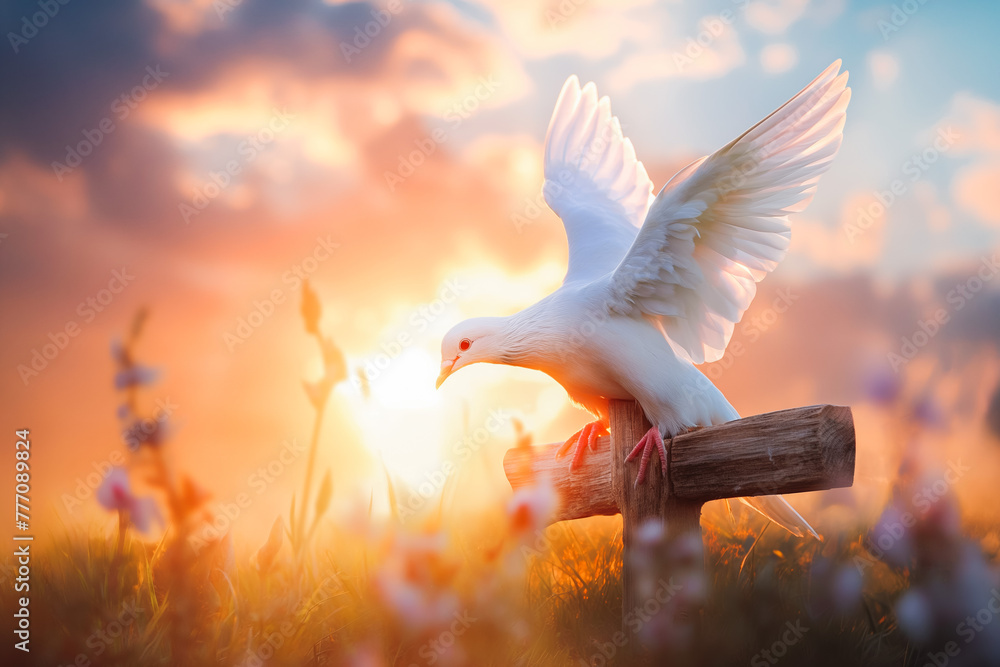 White dove with spread wings standing over the holy cross of Jesus ...