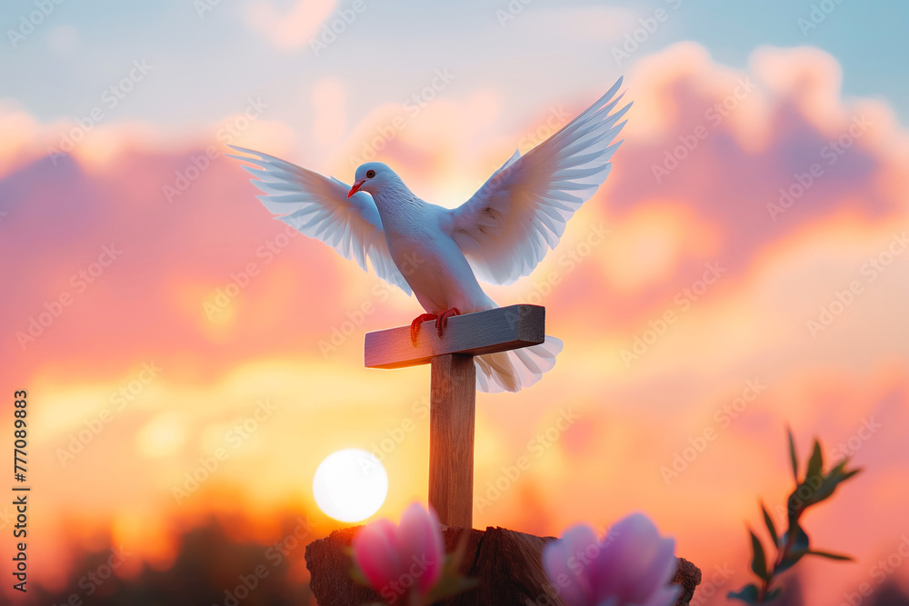 White dove with spread wings standing over the holy cross of Jesus Christ symbolize death and ...