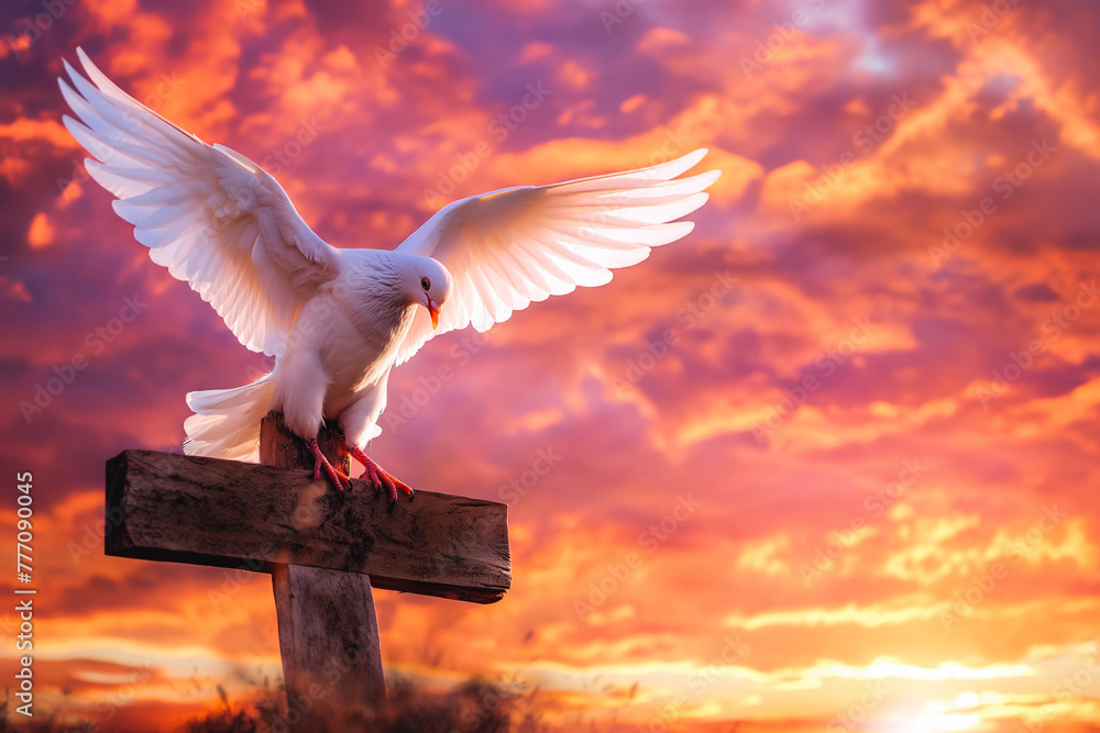 White dove with spread wings standing over the holy cross of Jesus Christ symbolize death and ...