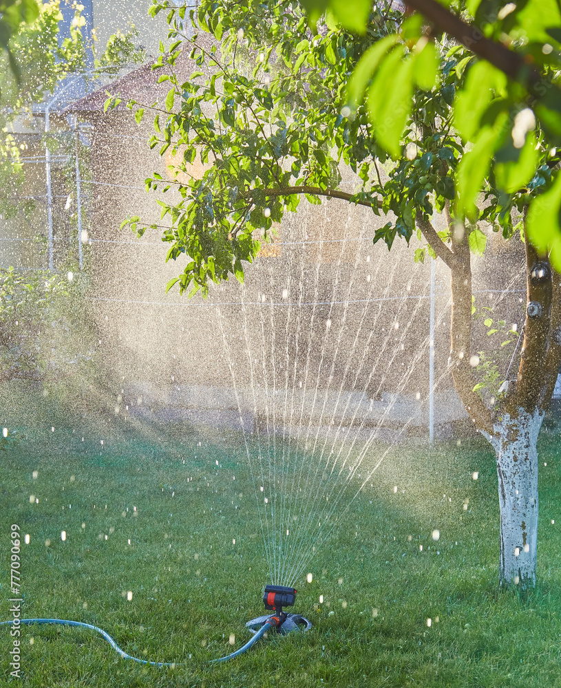 Automatic garden watering system with different sprinklers installed ...