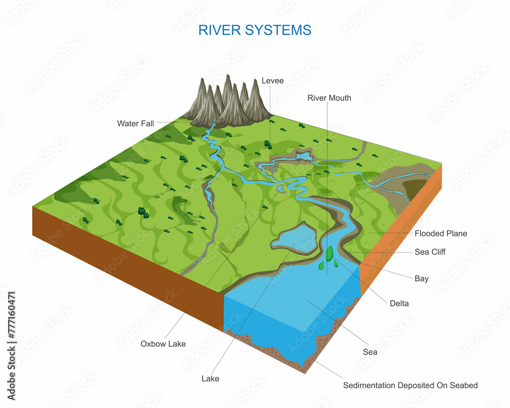 River systems and drainage basin educational structure vector ...