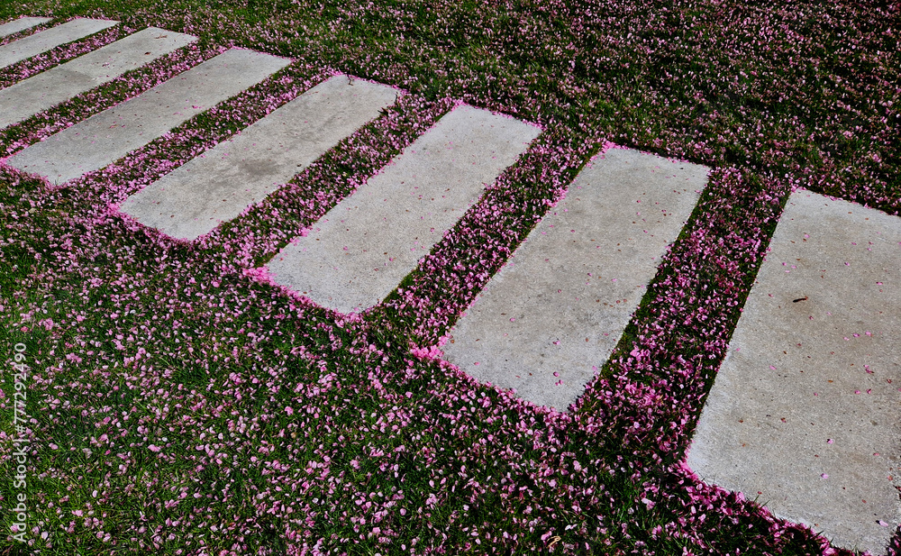 concrete path lawn pedal rectangular shape in regular grid routed ...