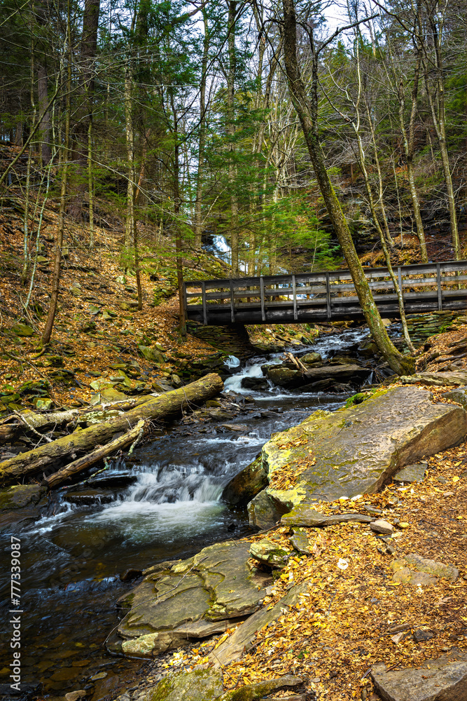 Spring at Ricketts Glen State Park in Benton PA. Known for its 21 ...