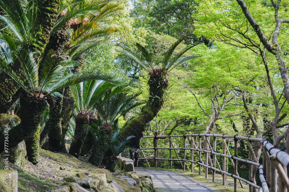 Sengan-en Japanese garden with former Shimazu clan residence in ...