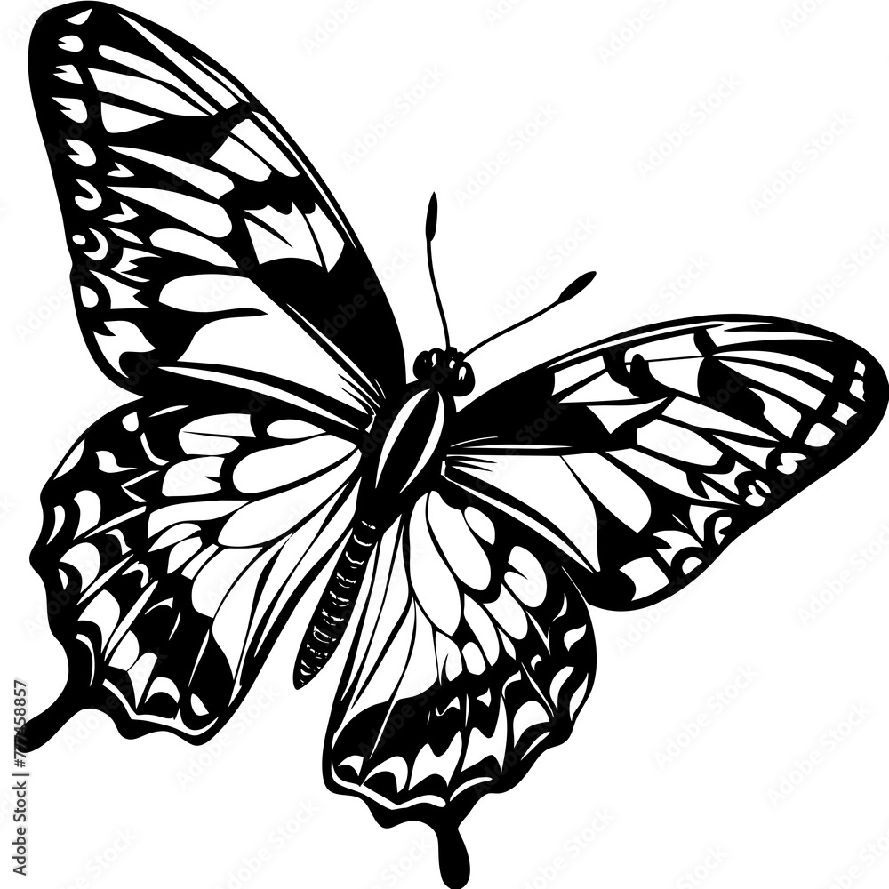black and white butterfly,butterfly Silhouette Graphics Vector ...