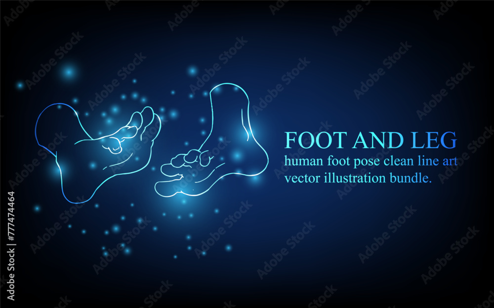 Human foot line, foot and leg, knee and toe, digital business concept ...