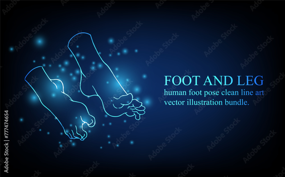 Human foot line, foot and leg, knee and toe, digital business concept ...