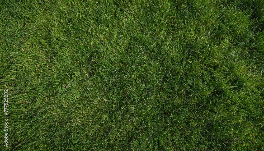 Green grass texture background, Top view of grass garden ideal concept ...