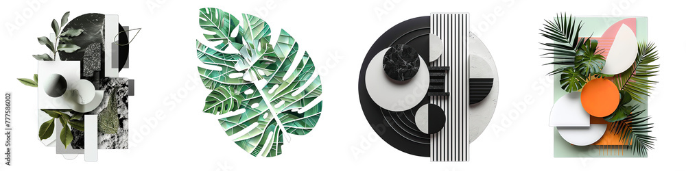 Contrast between organic and geometric shapes Hyperrealistic Highly ...