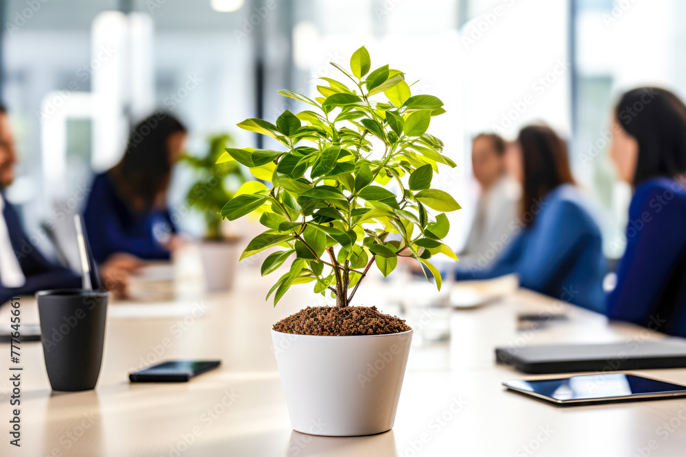 Green plant in white pot in office meeting room on conference table ...